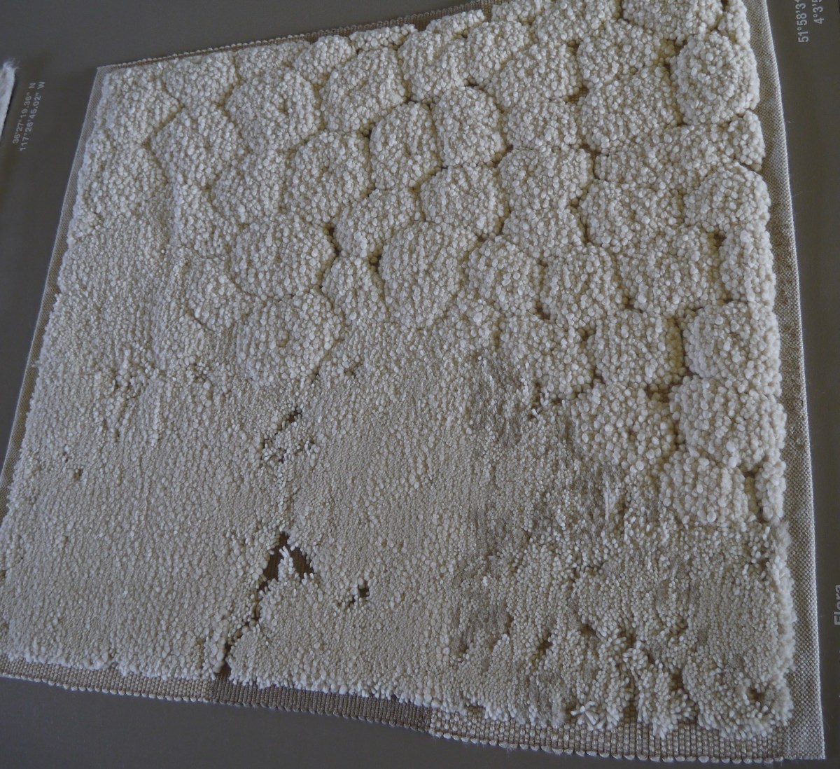 ExD’13 Lisbonne: explorations topographiques – PollenConsulting